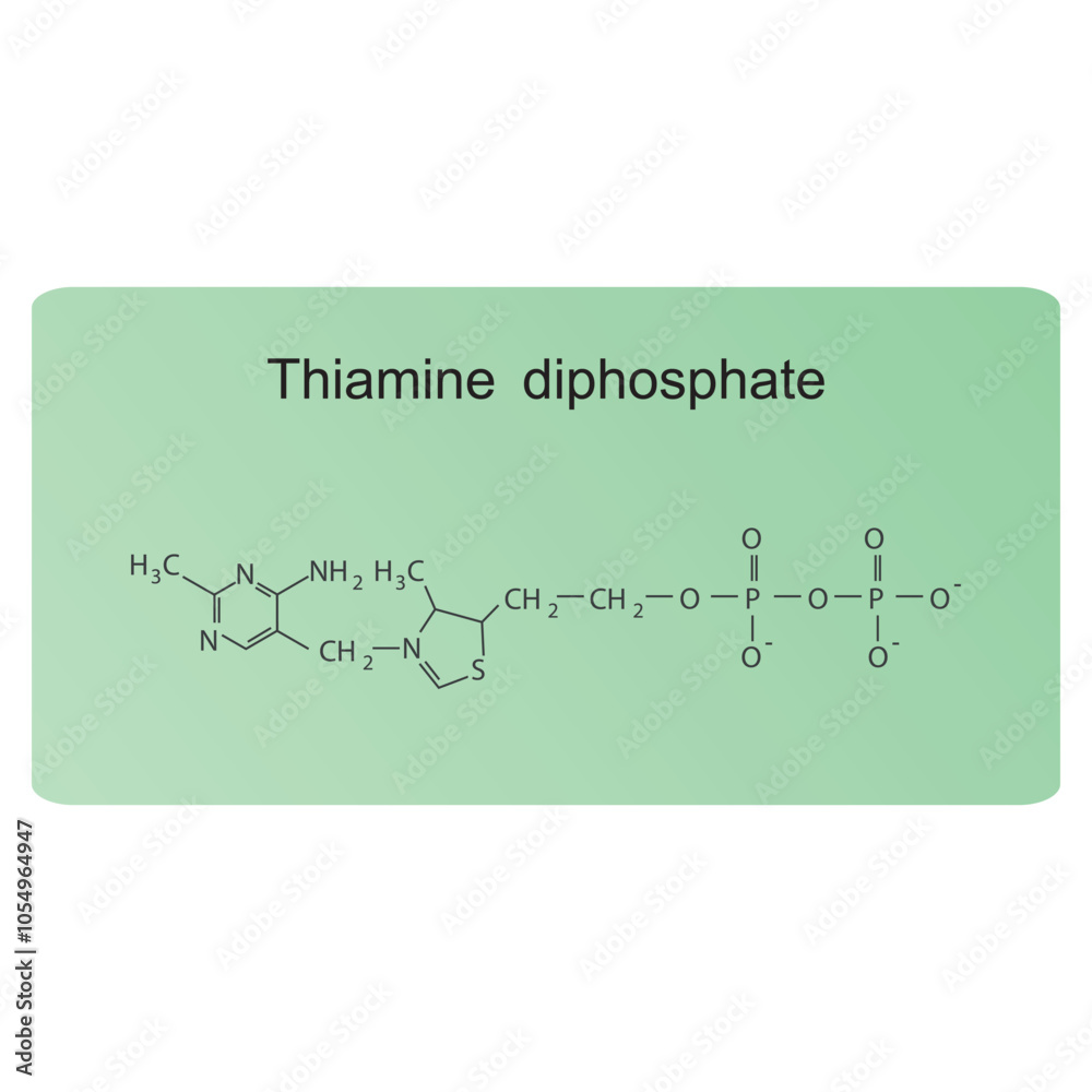 Thiamine diphosphate skeletal structure diagram.Vitamin B1 compound molecule scientific ...