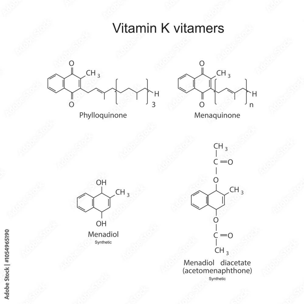 Diagram of Vitamin K vitamers - Phylloquinone, Menaquinone, Menadiol ...