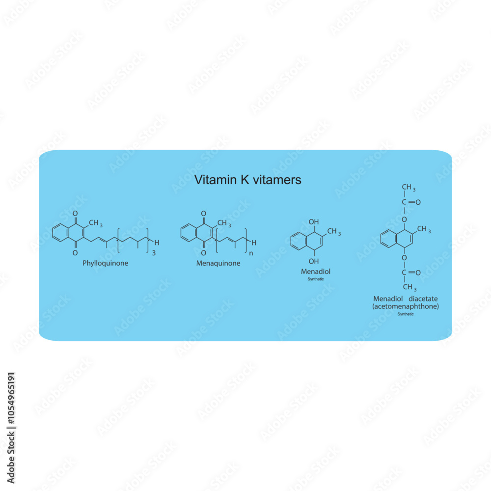 Diagram of Vitamin K vitamers - Phylloquinone, Menaquinone, Menadiol ...