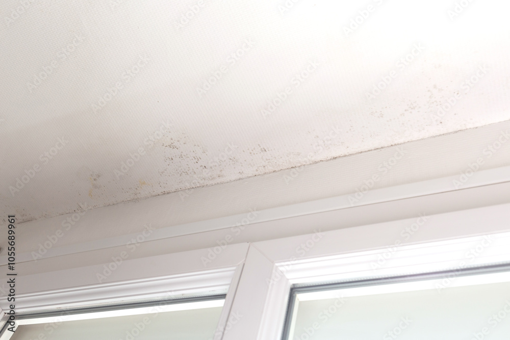 Ceiling near window frame with visible mold spots and moisture damage ...