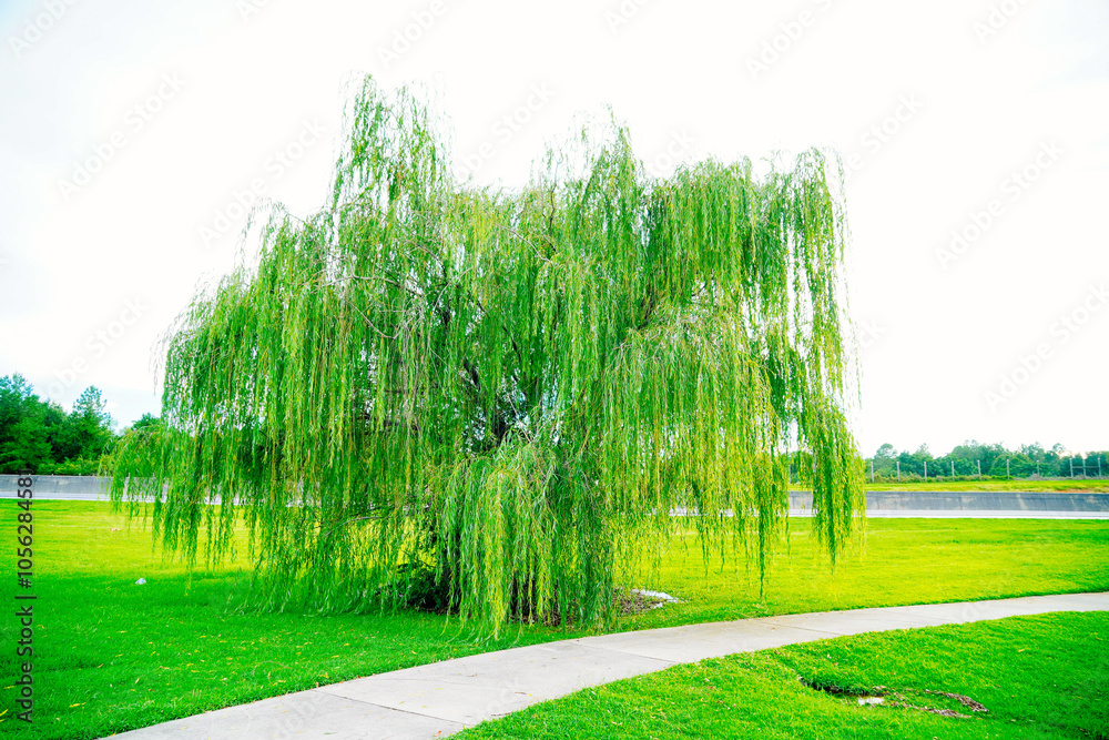 Georgia state welcome center and highway rest area landscape Stock ...