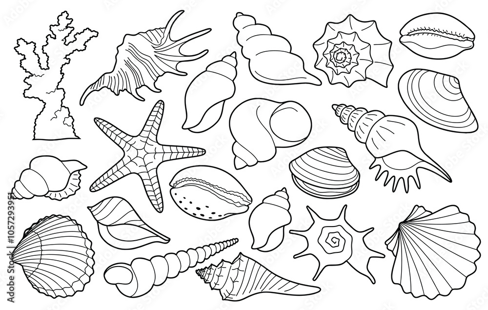 Hand drawn sea shells set with doodle style. line art sea shell ...
