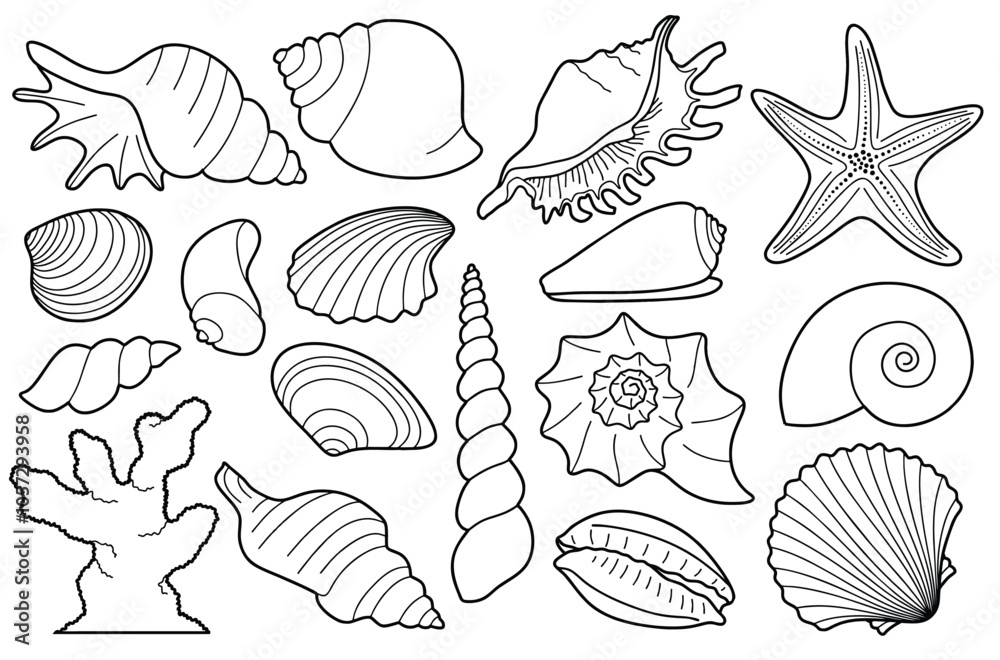 Hand drawn sea shells set with doodle style. line art sea shell ...