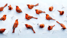 Cardinals Perched On Snowy Branches Free Stock Photo - Public Domain ...