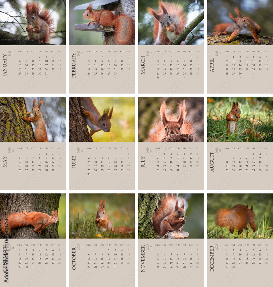 Calendar_2025_ENG_Squirel. Calendar for the 2025 year ENG with ...
