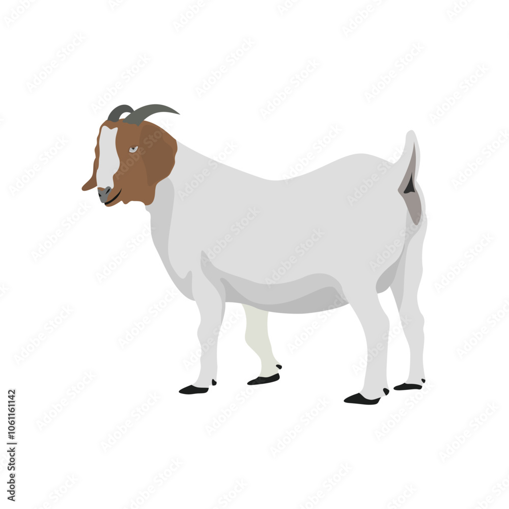 Vector illustration of boer goat in cartoon flat style. Farming ...