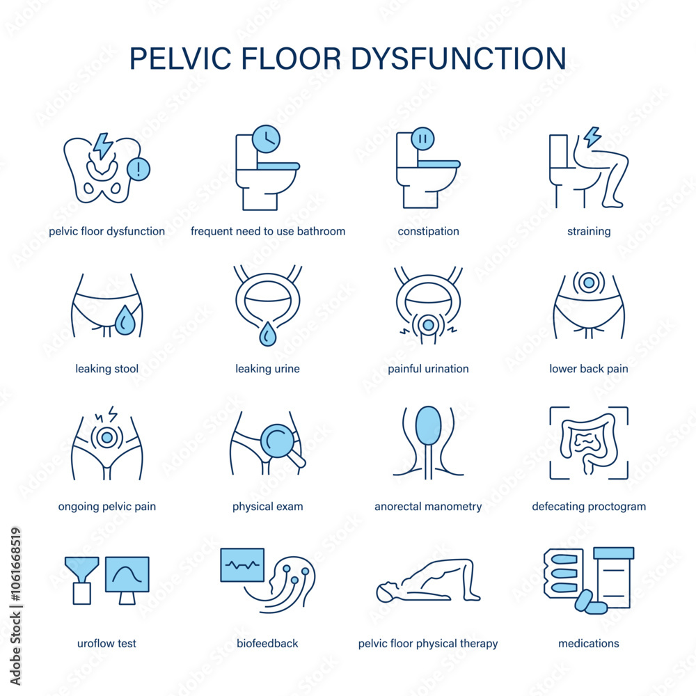 Pelvic Floor Dysfunction symptoms, diagnostic and treatment vector ...