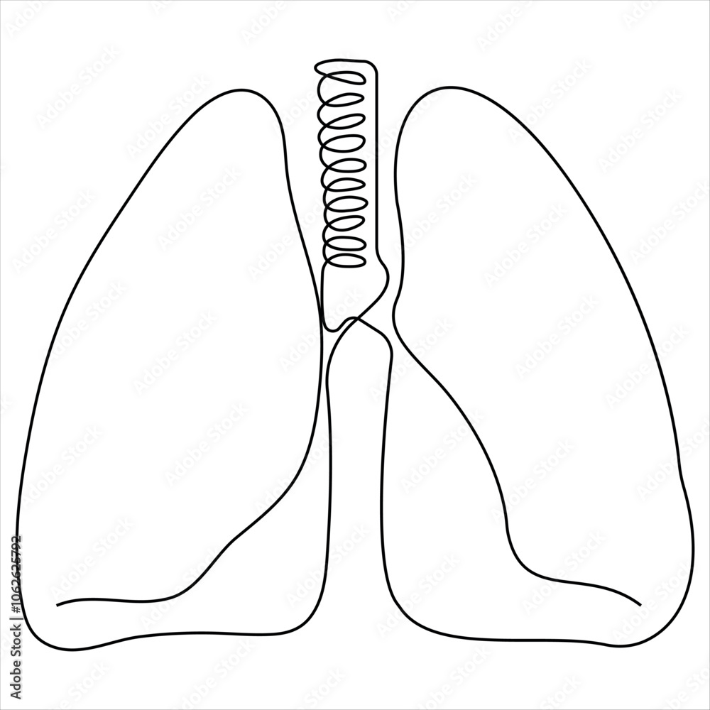 Continuous single line drawing of anatomical human lungs organ medical ...
