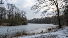 Snowy Pond In The Woods Free Stock Photo - Public Domain Pictures