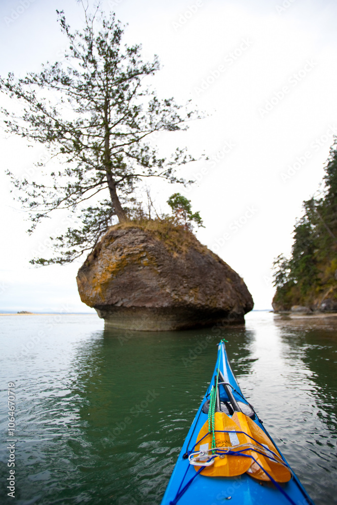 Ika Island, Puget Sound, a rocky outcrop with a tree in the Skagit ...
