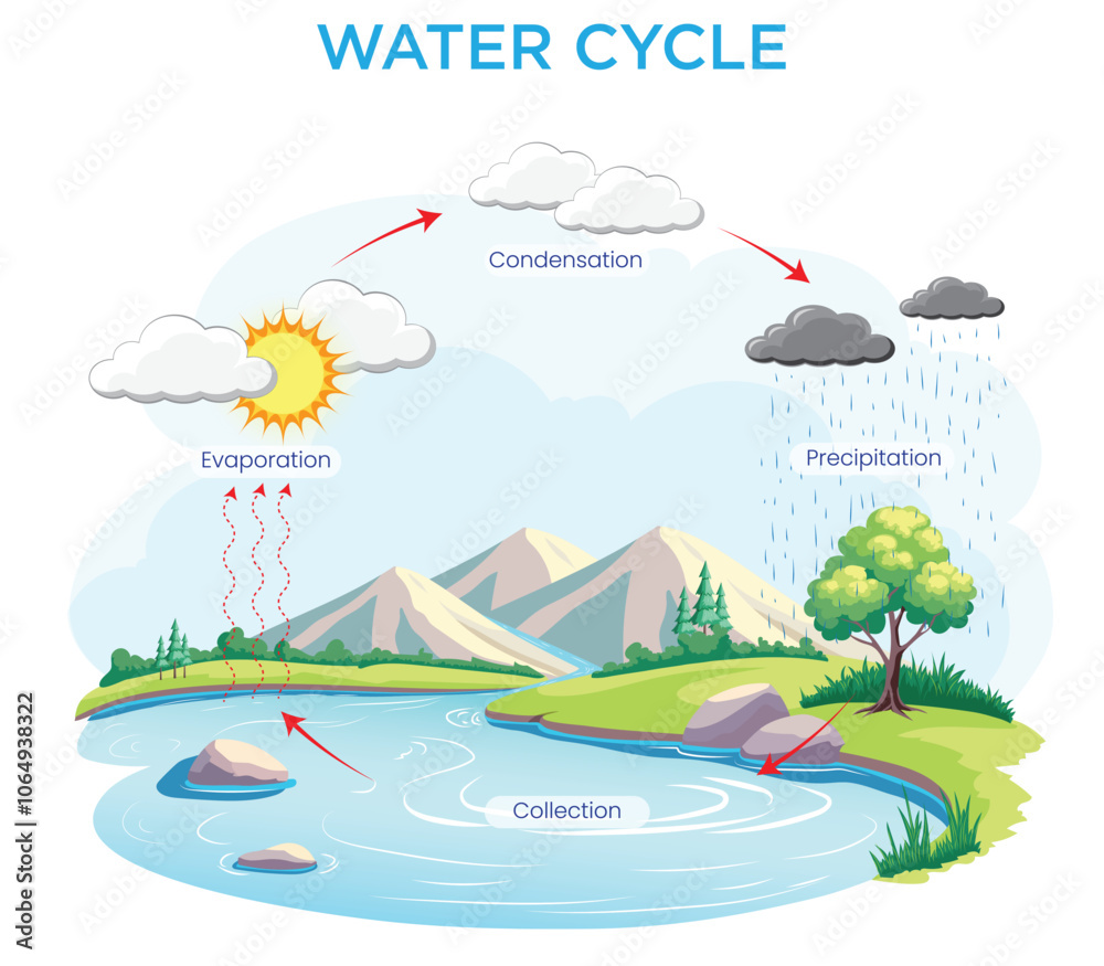 The Water Cycle Process of Evaporation, Condensation, Precipitation ...