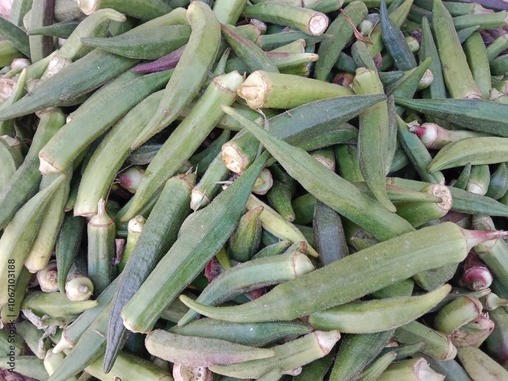 lady finger pile displayed in order on vendor's.okra pile show for sale ...