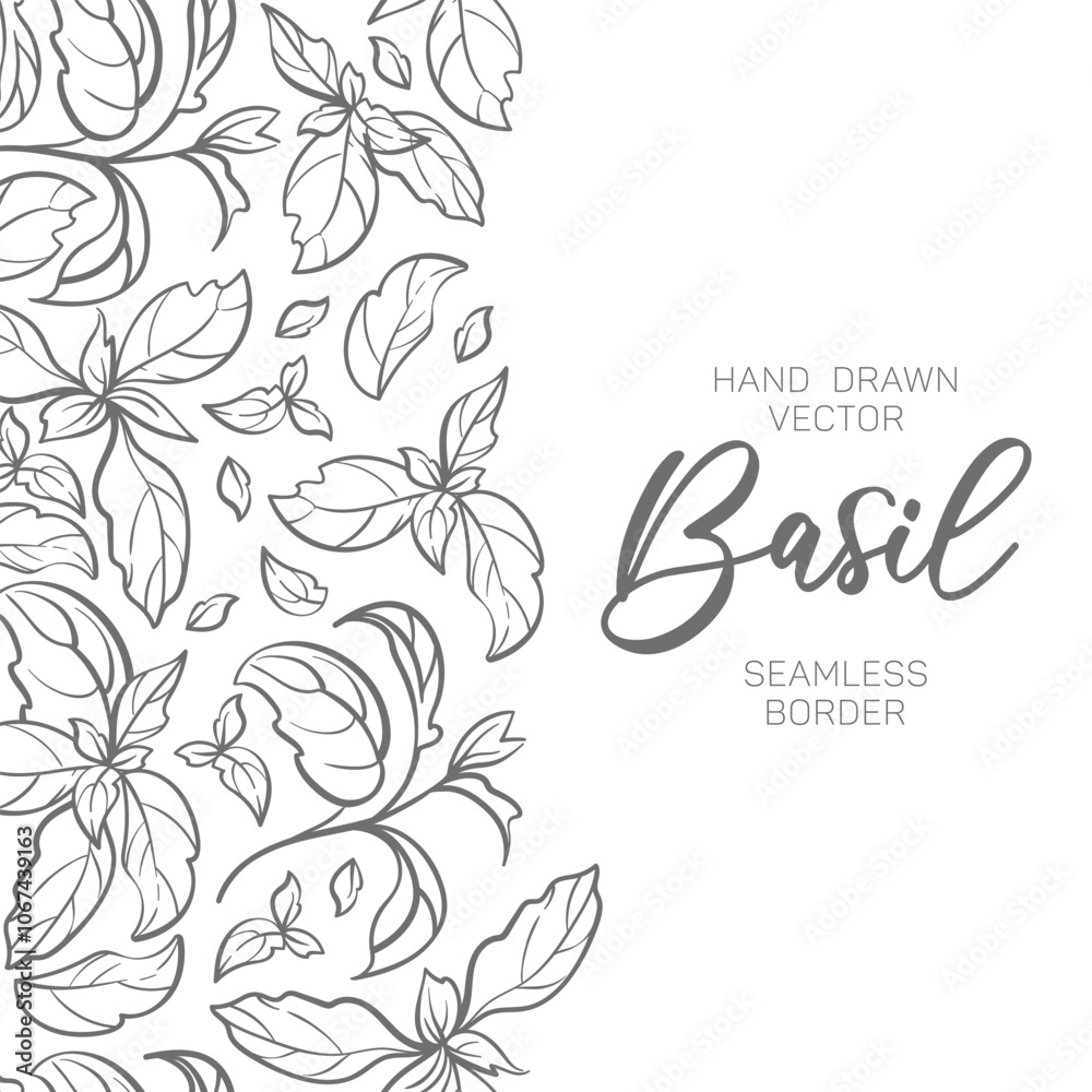 Vertical seamless border of basil leaves with detailed sketch of herbs ...