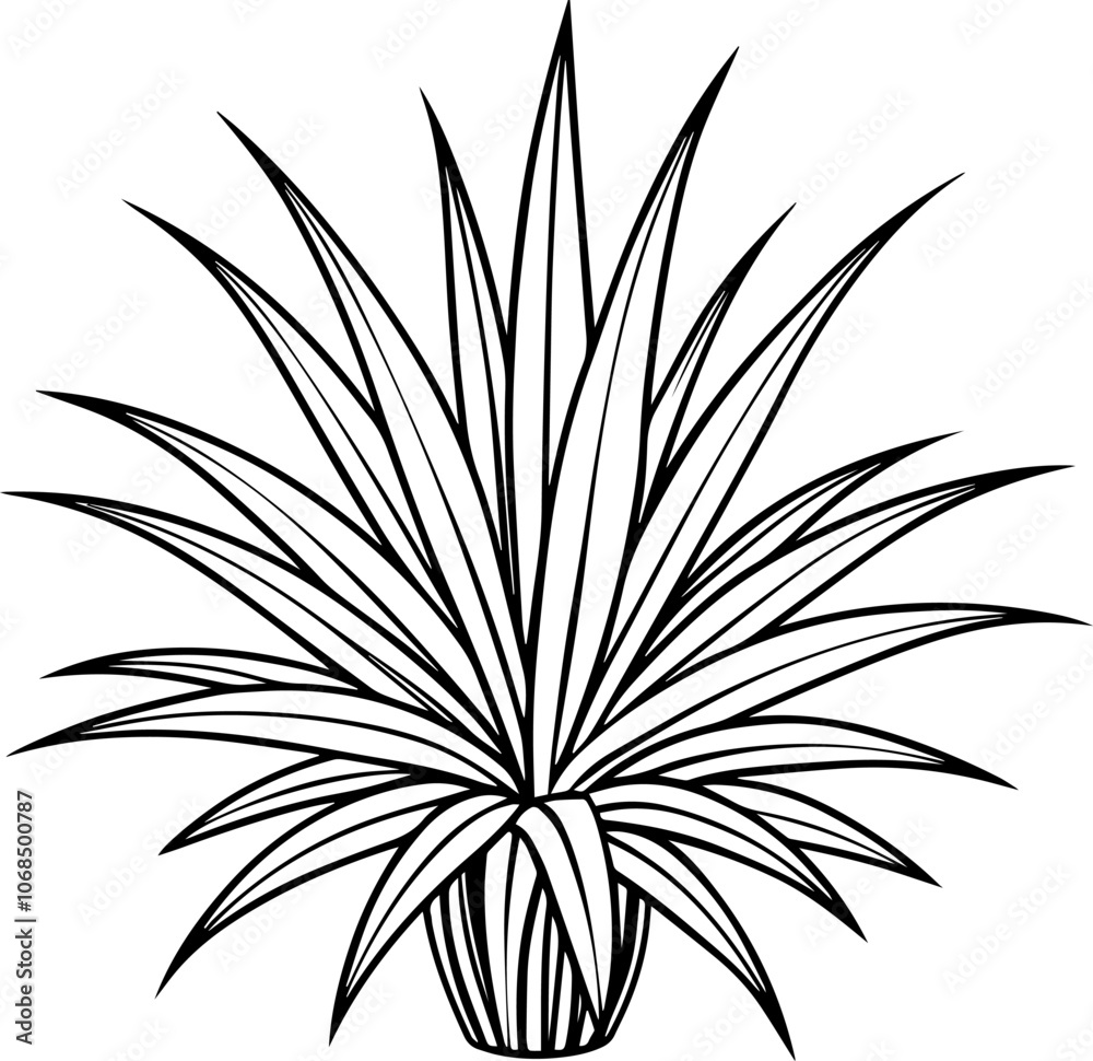 yucca plant outline coloring book page line art vector illustration ...