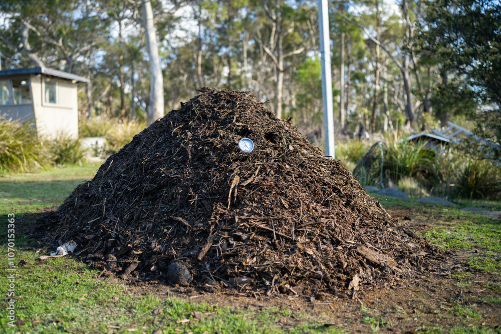 turning a compost pile in a community garden. compost full of ...