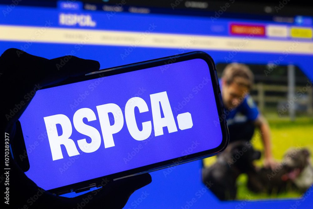 Silhouette of Hand Holding Phone with RSPCA Logo in Front of RSPCA ...