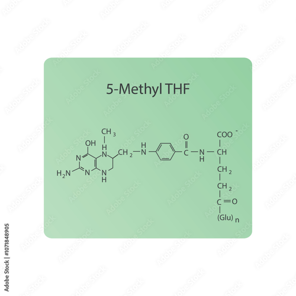 5-Methyl THF skeletal structure diagram.Vitamin B9 compound molecule ...