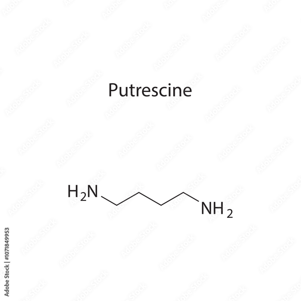 Putrescine skeletal structure diagram.Organic molecule compound ...