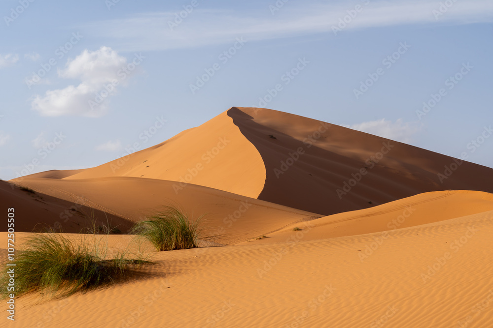 View of Sahara Desert in Morocco, Africa. The Sahara Desert is the ...
