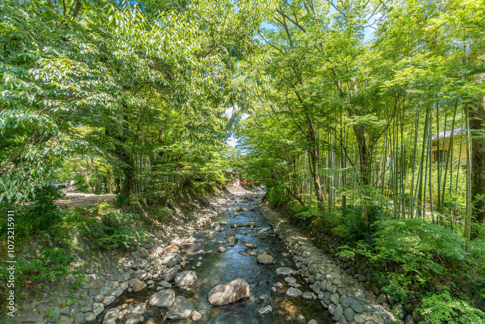 Foto de Stock Izu, Shizuoka, Japan - August 10, 2018 : Katsura bridge over Kitamata River Bamboo ...