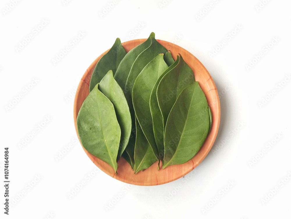 Syzygium polyanthum or Indonesian bay-leaf on wooden plate isolated on ...