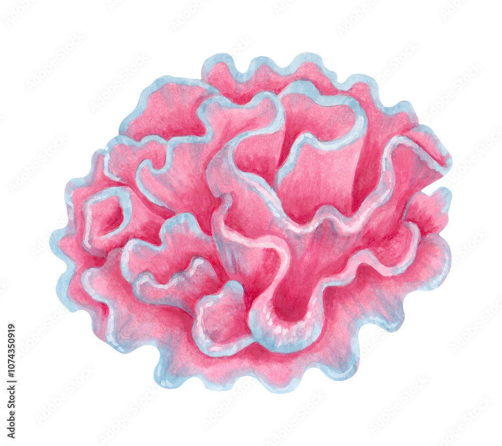 Hard pink coral reef. Watercolor and marker illustrations. Ocean ...