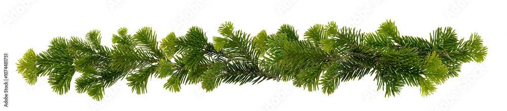 Christmas tree branch border isolated on white transparent. Xmas ...