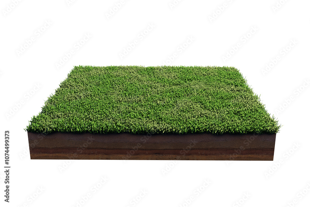 Square soil land geology cross section with green grass, flowers, green ...
