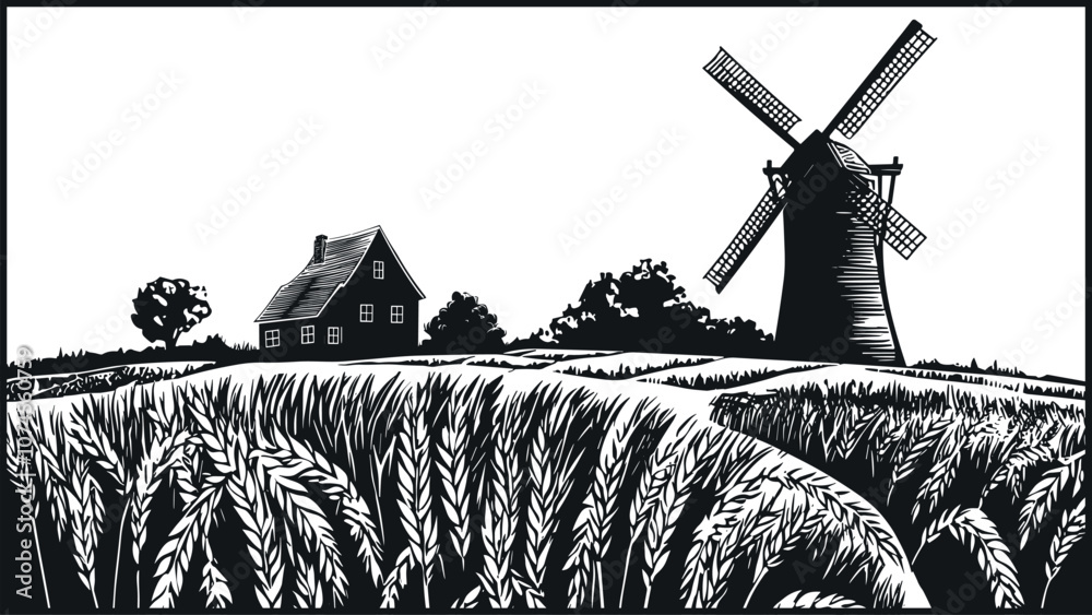 Farm landscape with old windmill and agricultural wheat fields. Ears of ...