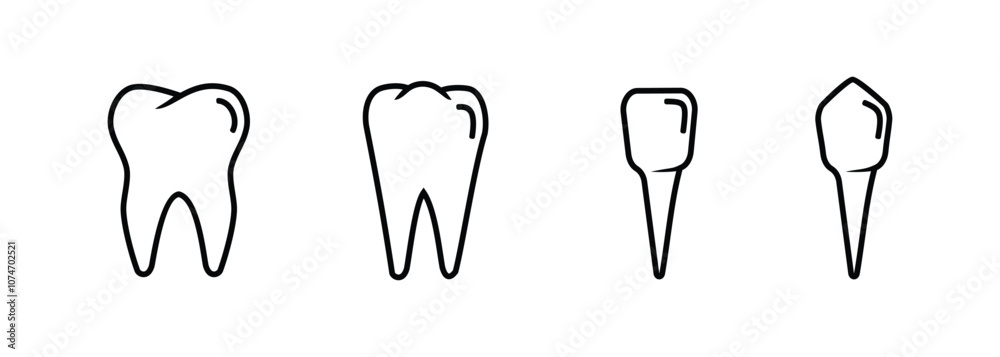 set design of human teeth, incisors, canines, premolars, molars. simple ...