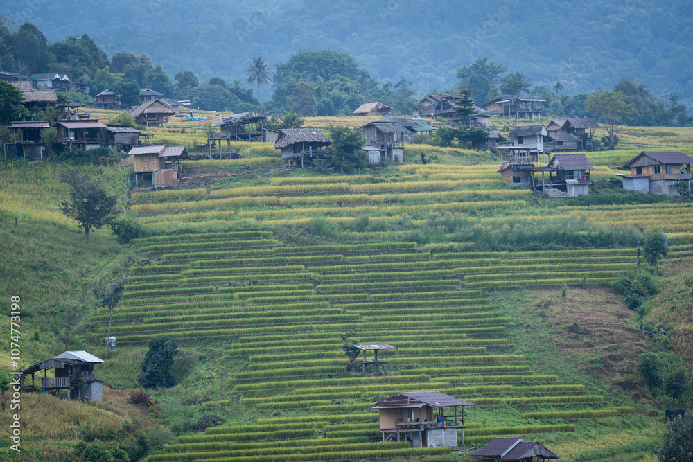 people stay at one of the most beautiful view point of golden step ...