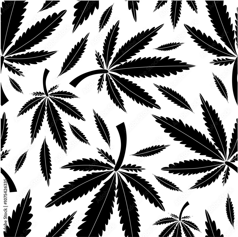 Cannabis Leaves Pattern. Medical Plant. Black Hemp Leaves on White ...