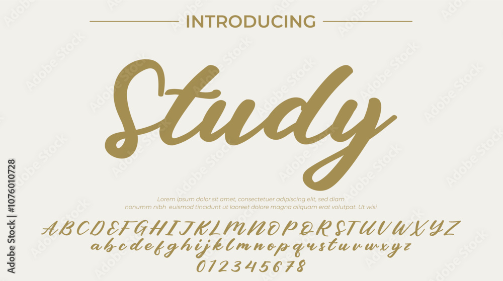 Study Font Stylish brush painted an uppercase vector letters, alphabet ...
