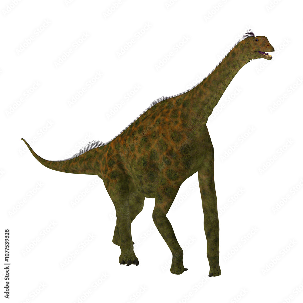 Atlasaurus Dinosaur - Atlasaurus was a herbivorous sauropod dinosaur ...