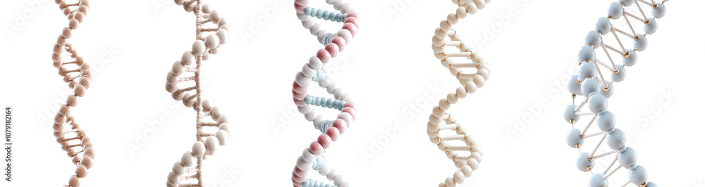 DNA chain 3d model set collection on transparent cutout background, PNG ...