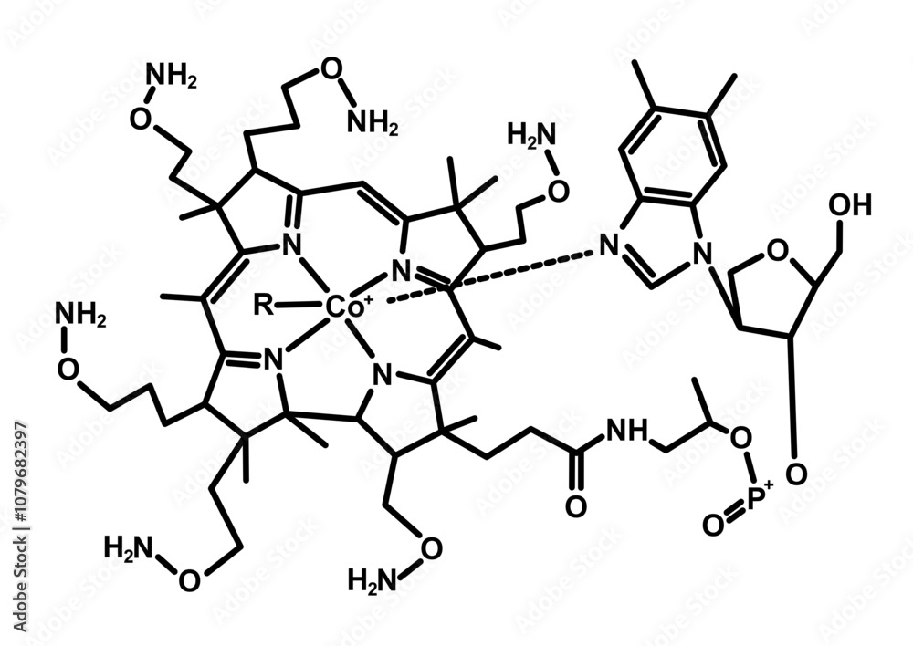 Chemical Structure of Cobalamin Vitamin B12 Stock Vector | Adobe Stock