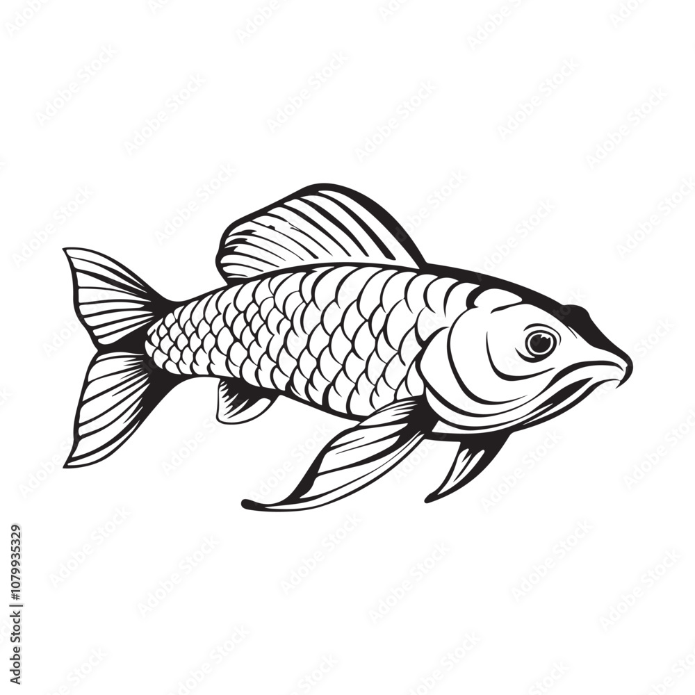 Arowana Vector Image. Arowana fish image isolated on white background ...