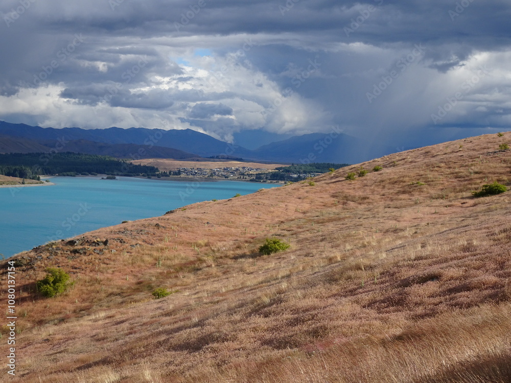 mount John summit hike by the lake Tekapo, south island. Scenic nature ...