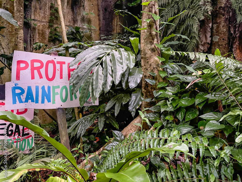 Protect the Rainforest - Banner in tropical plants background for awareness concept. support ...
