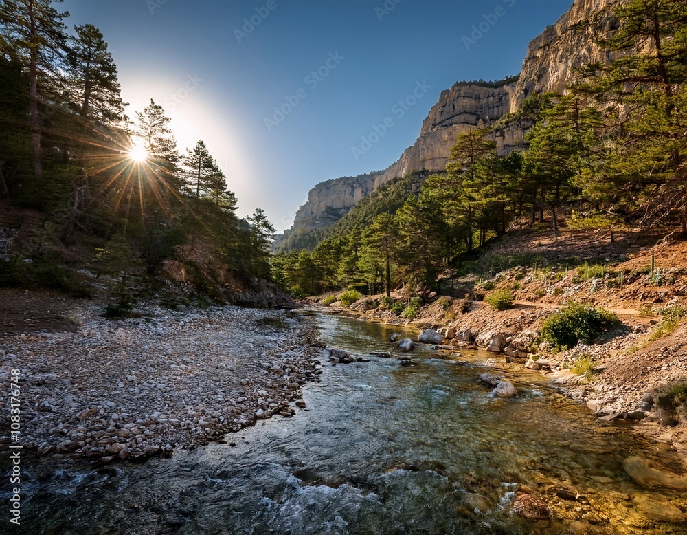 Crystal Clear Mountain Stream Flowing Through a Rocky Canyon ...