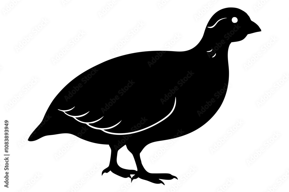 Bobwhite Quail Silhouette, Quail silhouette Vector illustration design ...