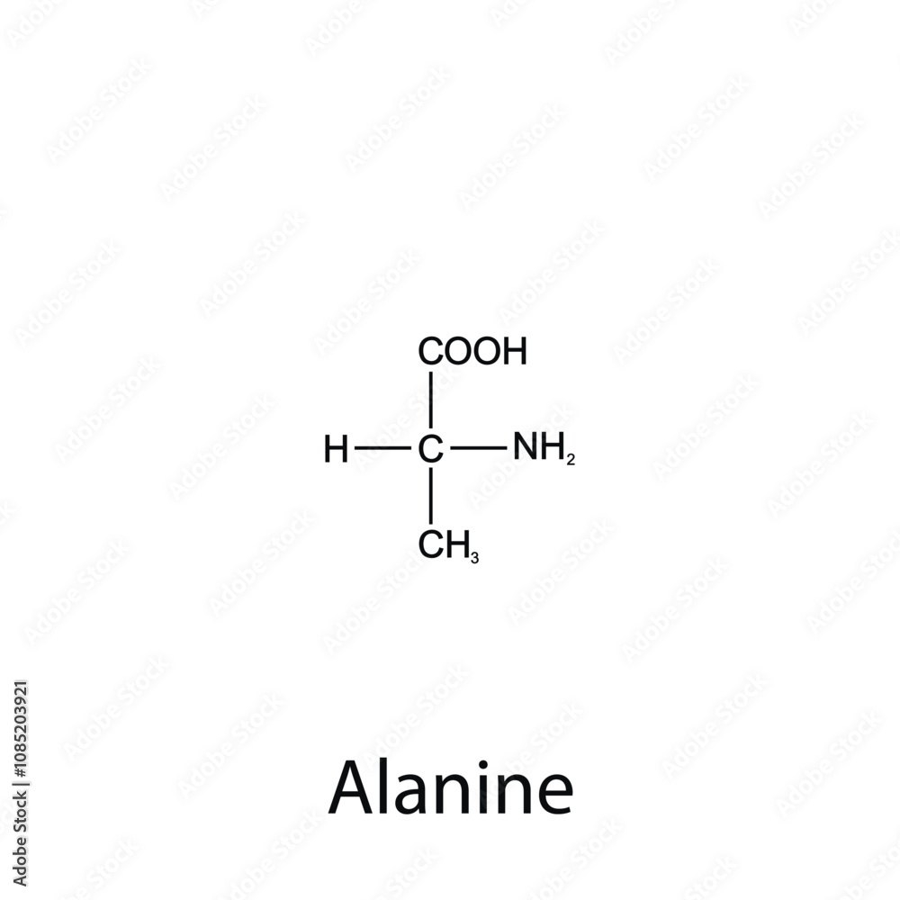 Chemical formula of alanine. Essential amino acids. Organic chemistry ...