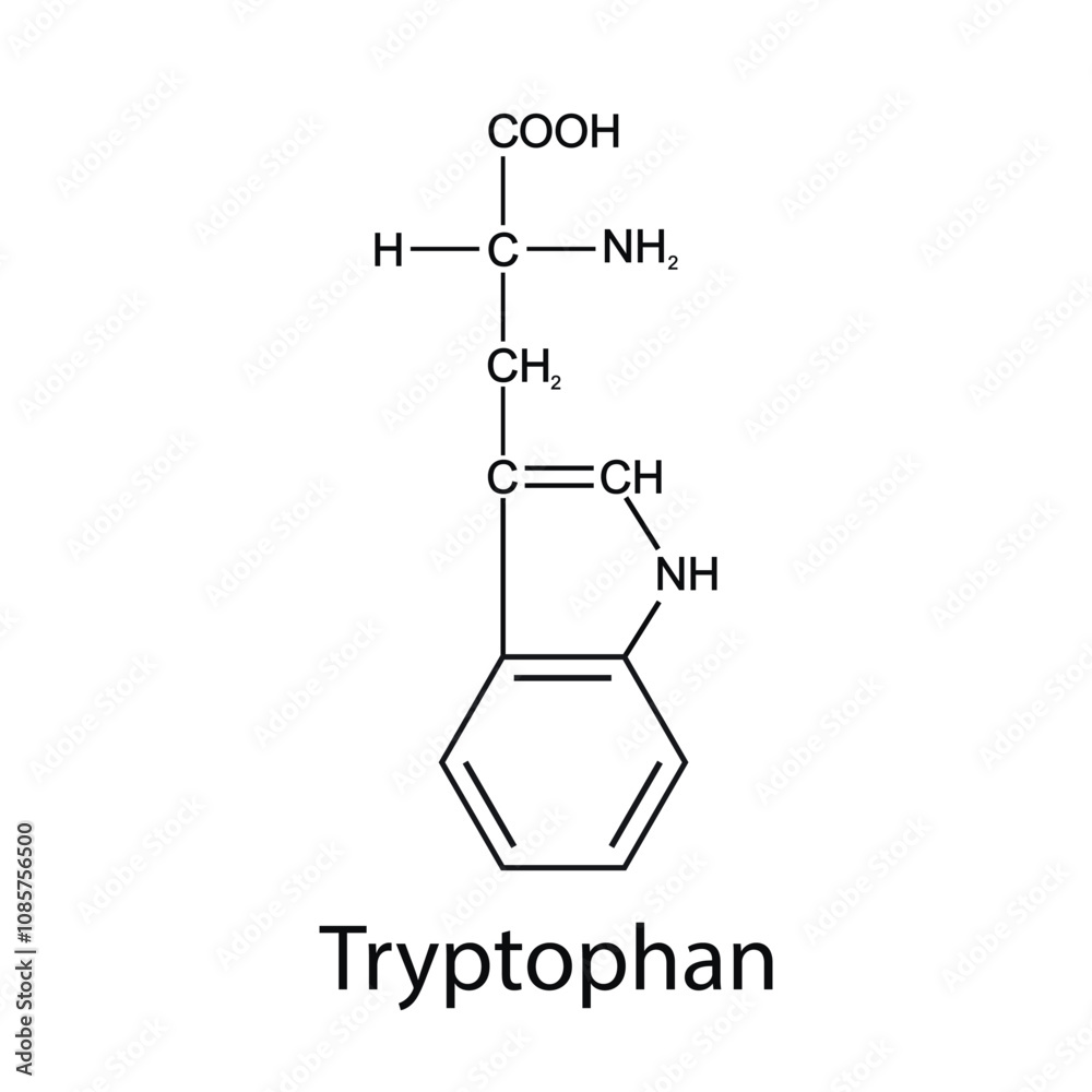 Chemical formula of tryptophan. Essential amino acids. Organic ...