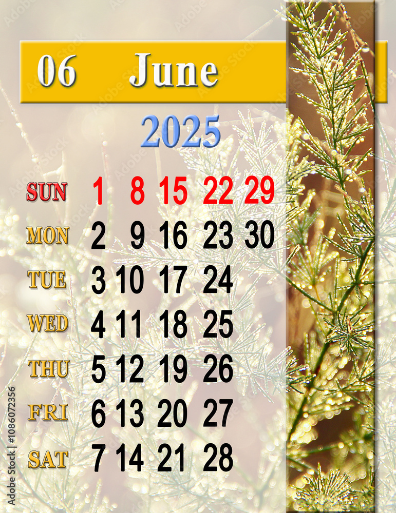 Calendar for June 2025 with photo. Daily organizer. June 2025 organizer ...