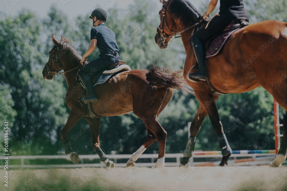 Two equestrian riders enjoying a brisk horseback ride in a sunny, open ...