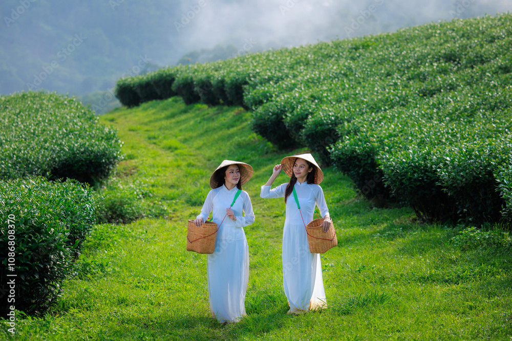 portrait of two young asian woman wearing white vietnamese dress walking and talk about the tea ...