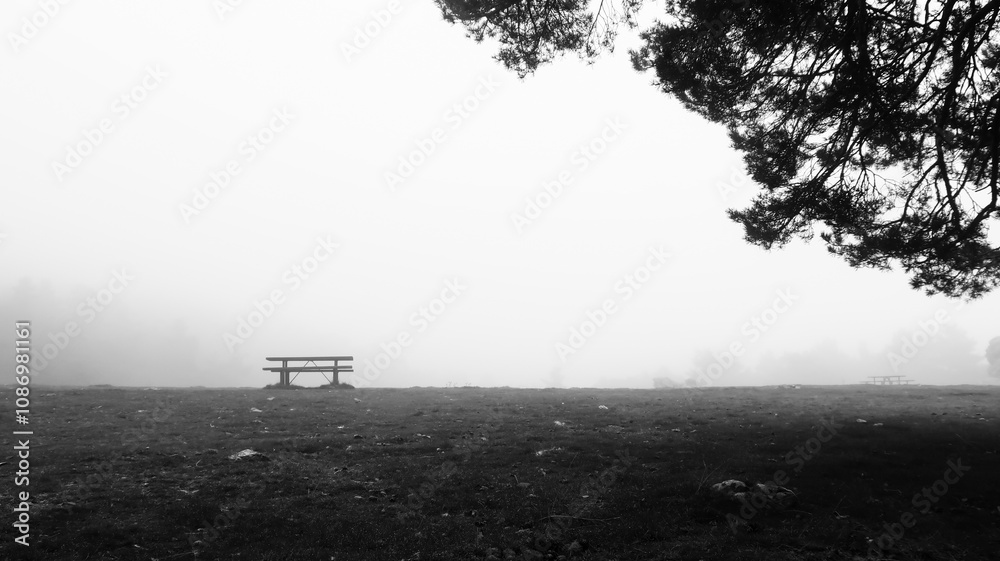 Banco en un parque día nublado の Stock フォト | Adobe Stock