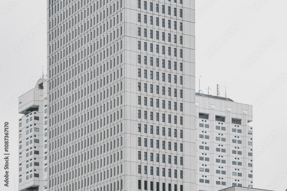 Foto de Stock This image displays an impressive monochrome view of tall ...