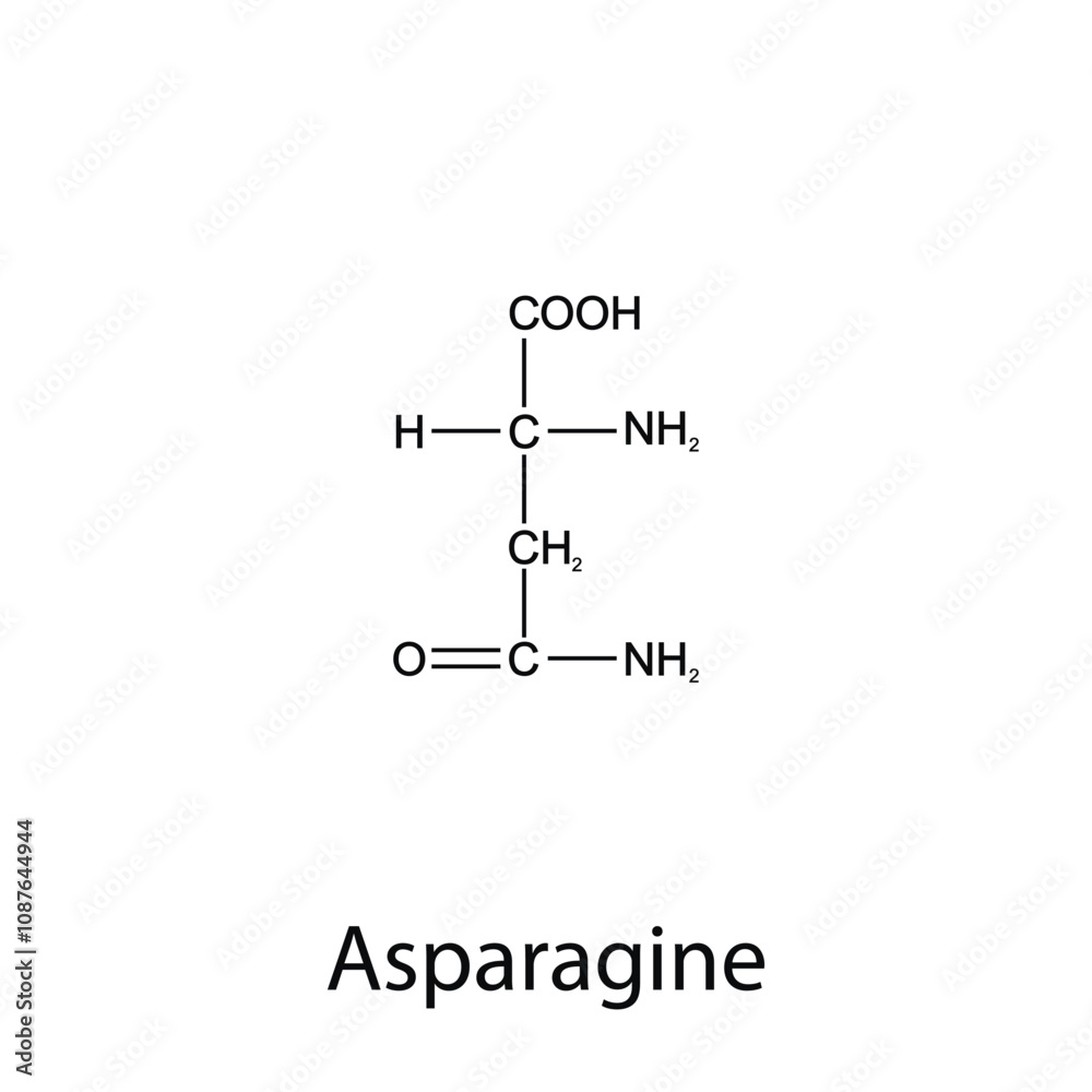 Chemical formula of asparagine. Essential amino acids. Organic ...
