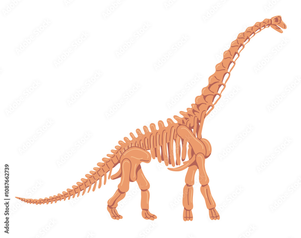 Skeleton of a giant Brachiosaurus. Herbivorous dinosaur of the Jurassic ...